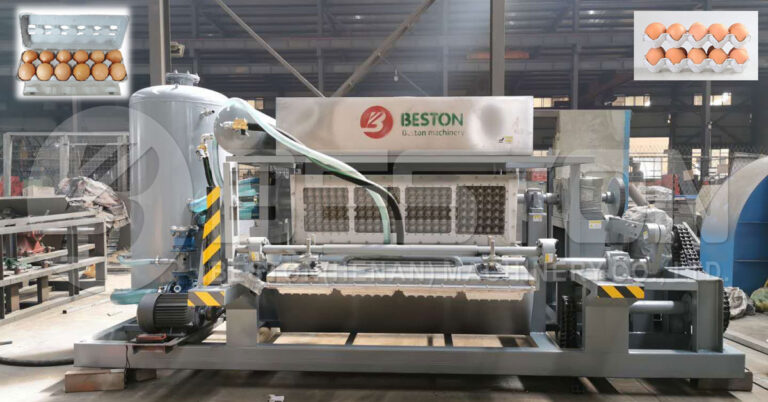 Small Egg Tray Making Machine | Fast-return Business