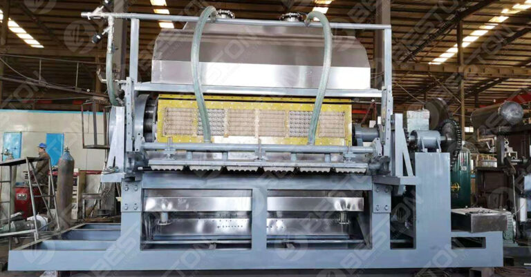 Automatic Egg Tray Making Machine | Easy & Fast Installment