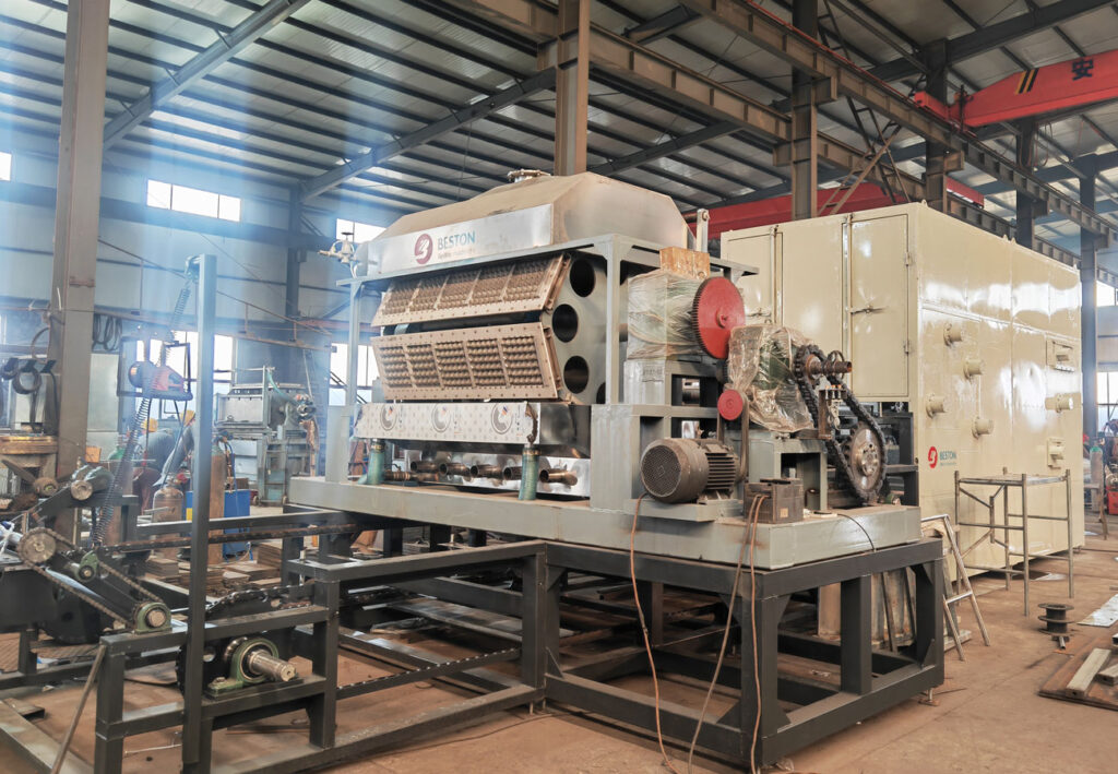 Automatic Egg Tray Making Machine | Easy & Fast Installment