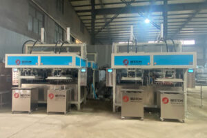 Egg Tray Making Machine | Customized Tray Molds