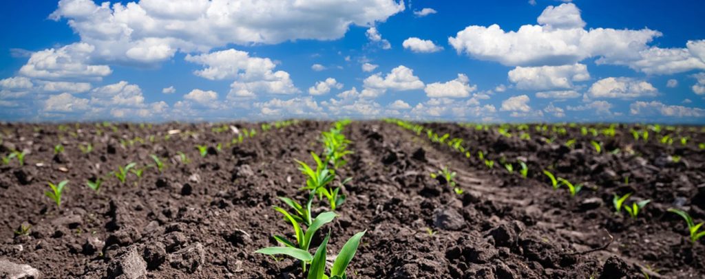 Soil Remediation and Improvement Solution - Beston Group