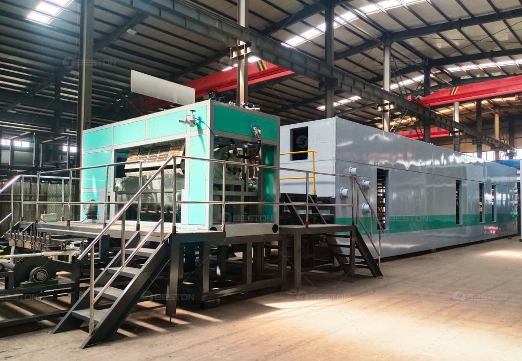 Automatic Egg Tray Making Machine | Easy & Fast Installment