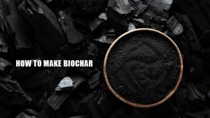 Comment faire du biochar | Deux méthodes